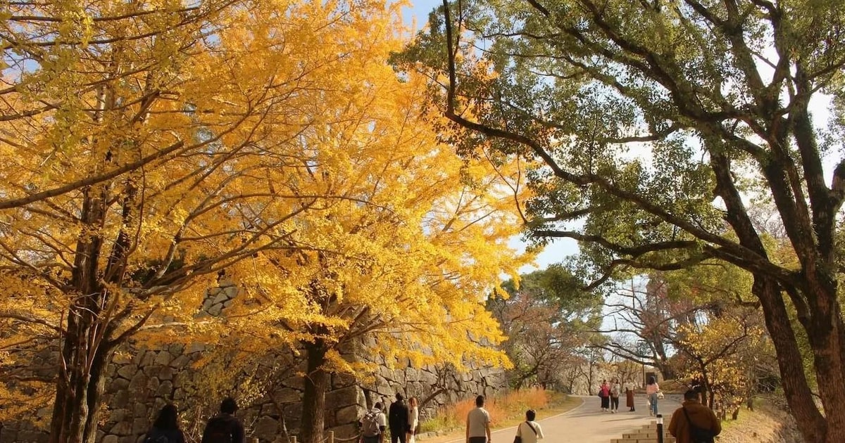 Fukuoka: Hidden History of Zen, Castles & Rebellion Tour | GetYourGuide