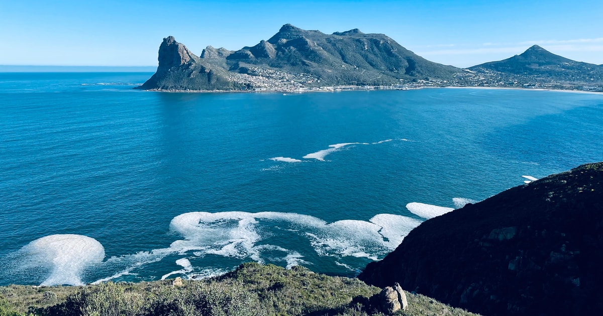 Best of the Cape : Full day Group Tour | GetYourGuide