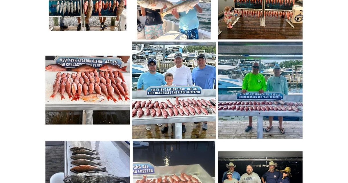 Destin: Esperienza di pesca di Have Fun Charters | GetYourGuide