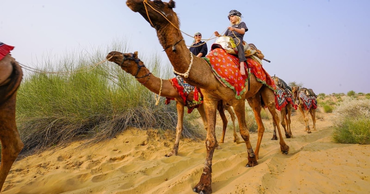Authentic Overnight Camel Safari & Sleep Under the Stars | GetYourGuide