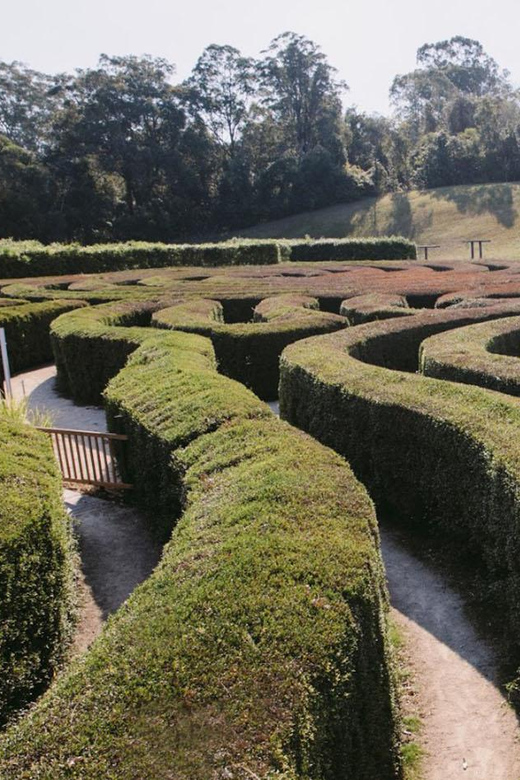 Herons Creek: Bago Maze Entry Ticket | GetYourGuide