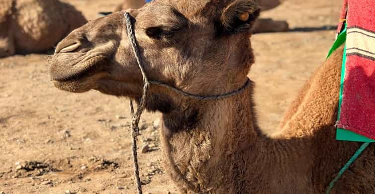 Achakkar Beach, Tanger - Tickets & Eintrittskarten | GetYourGuide