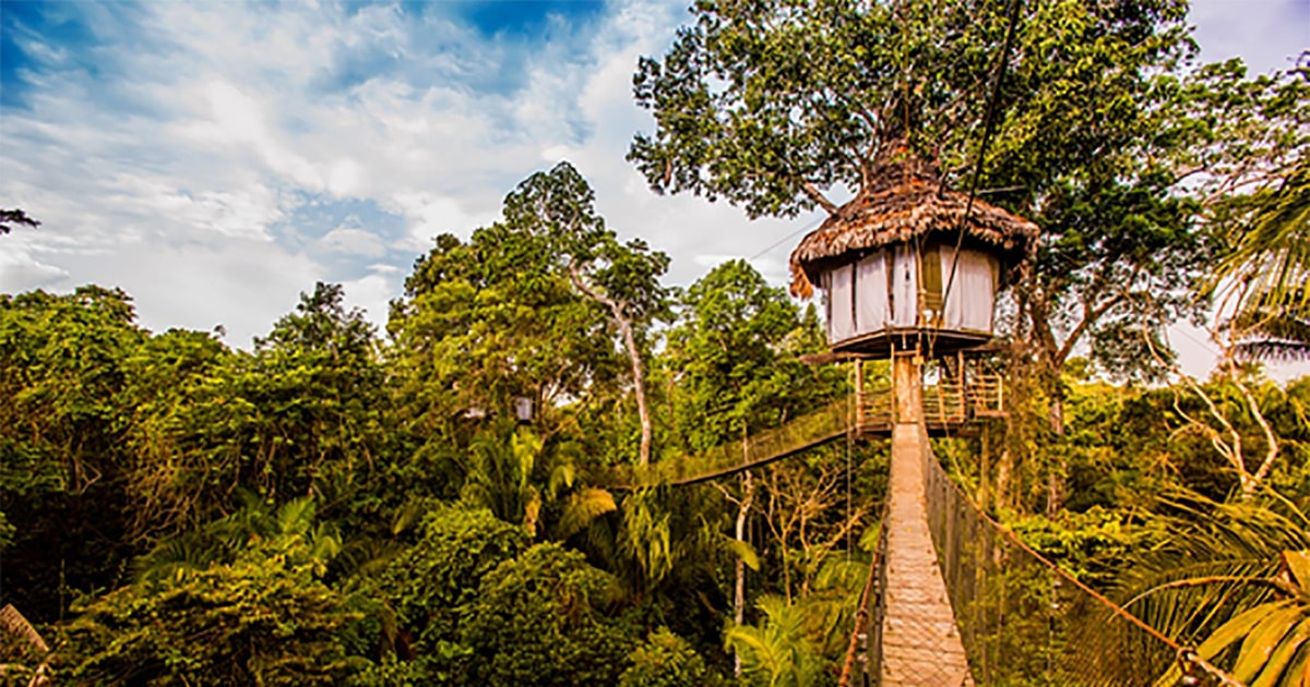 Amazon Rainforest 5 Day Tour | GetYourGuide