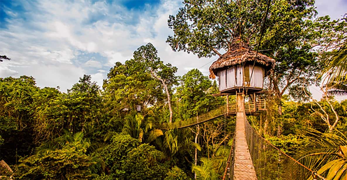 Amazon Rainforest 5 Day Tour | GetYourGuide