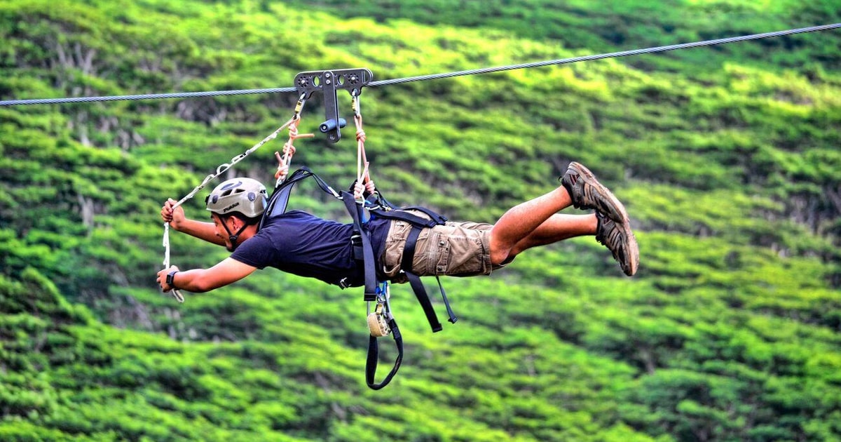 From:Puntacana Zip Line Adventure44 | GetYourGuide