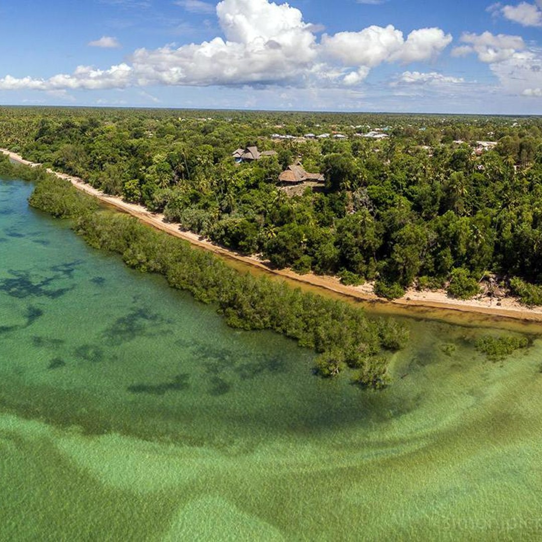 Mafia Island: Chole Island Tour with Sandbank Lunch | GetYourGuide