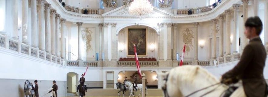 Spanska ridskolan Wien: Boka biljetter till ditt besök | GetYourGuide