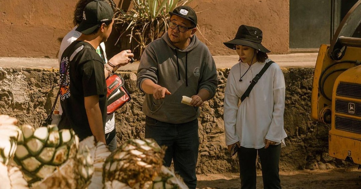 Private Adventure to Tequila and el Cascahuin Distillery | GetYourGuide