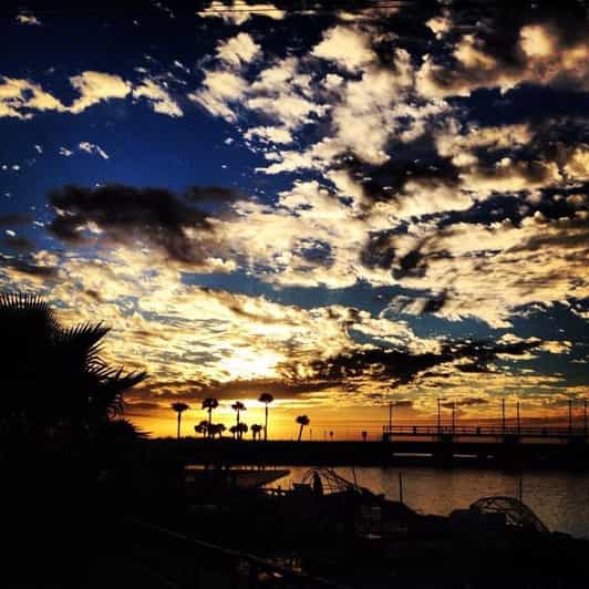 The Everglades: 1-Hour Airboat Night Tour | GetYourGuide