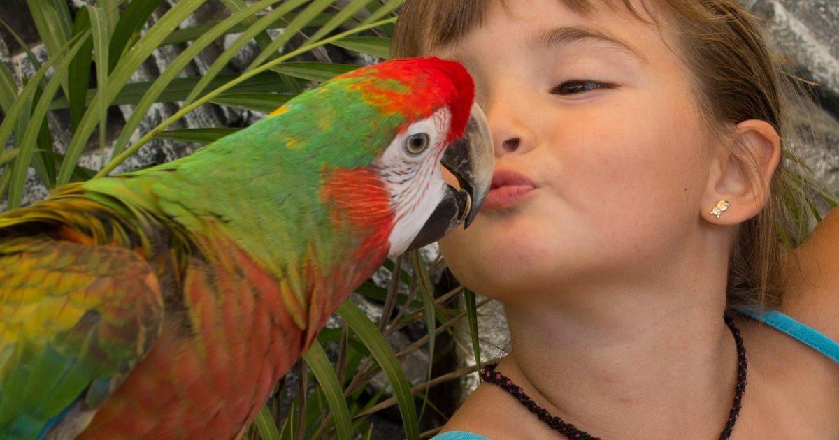 Los Cabos: Animal Sanctuary Tour | GetYourGuide