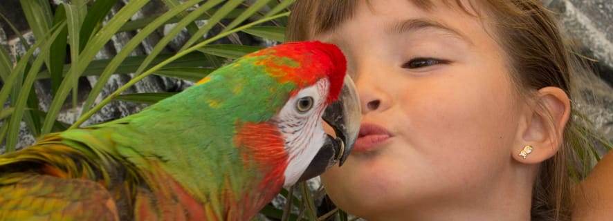 Wild Canyon, Cabo San Lucas, Cabo San Lucas - Reserva de entradas y ...