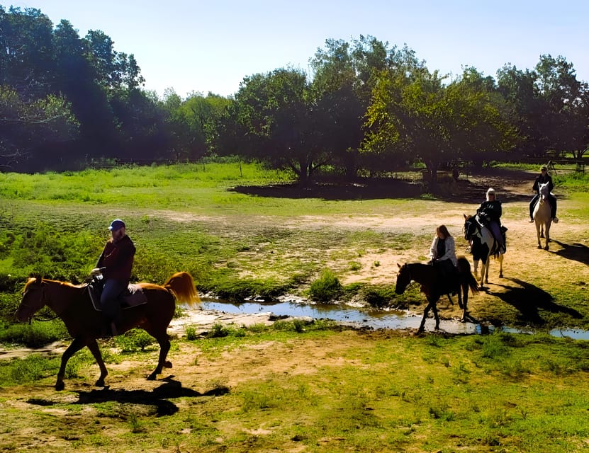 Dallas: Horseback Trail Riding Tour | GetYourGuide
