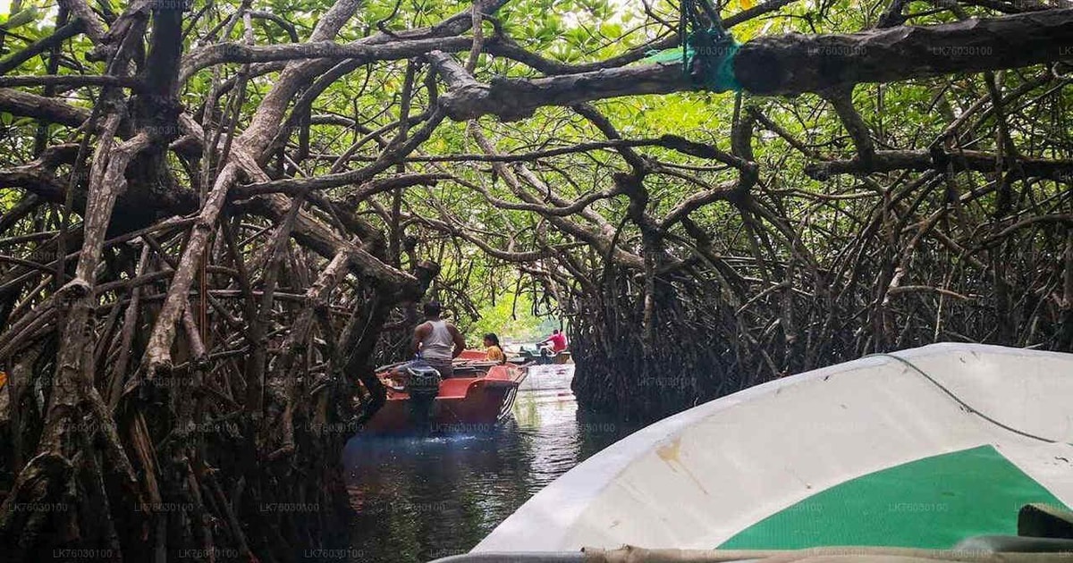 Safari cu barca pe râul Madu: O călătorie prin paradisul naturii ...