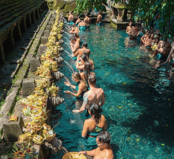 Ubud : Waterfall,Holly Water Temple,Swing/coffee plantation | GetYourGuide