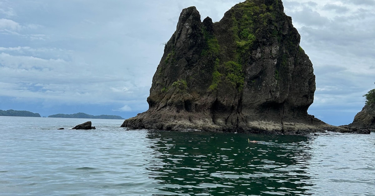 Van Tambor_ Tortuga eiland snorkelen en bioluminescentie ... | GetYourGuide