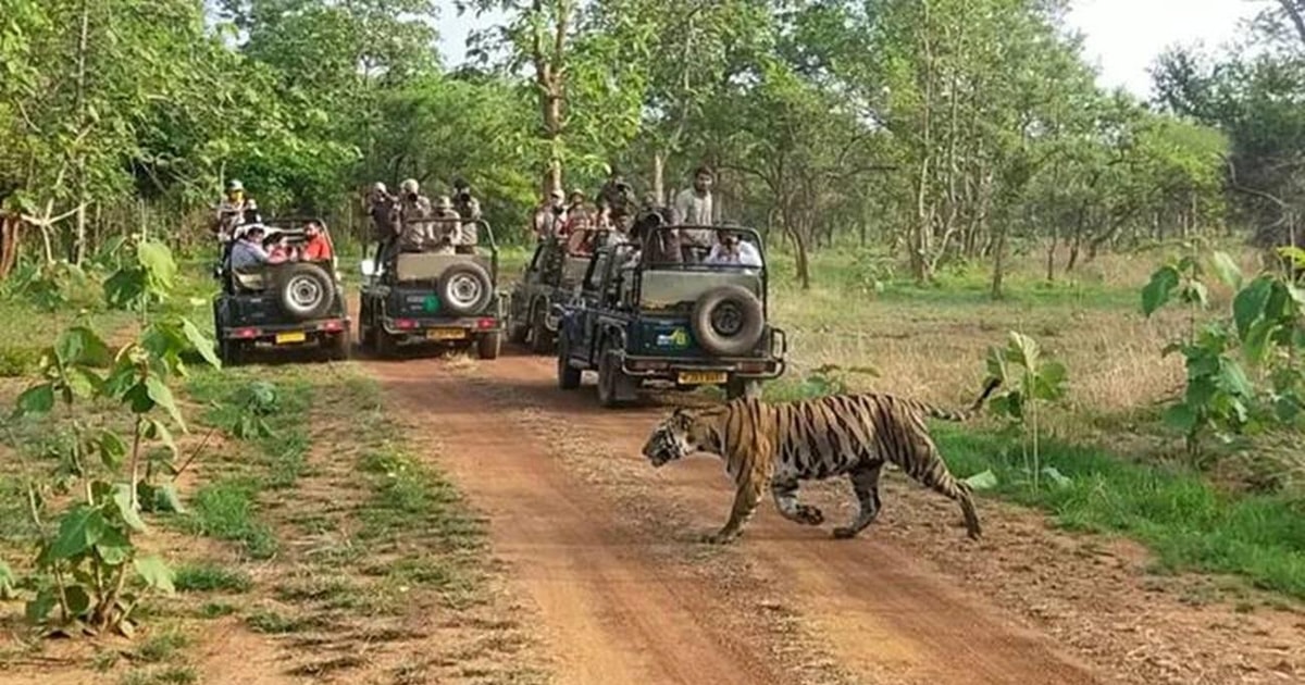 Safari de 2 días por la naturaleza y visita al Parque Nacional de Jim ...