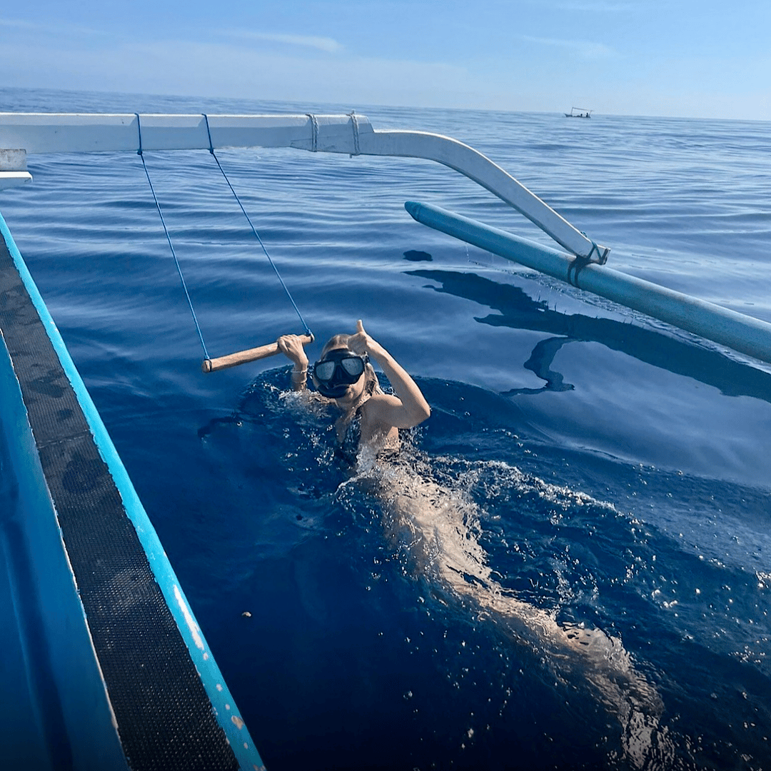 North Bali: Dolphin, Ulun Danu Temple, & Banyumala Waterfall | GetYourGuide