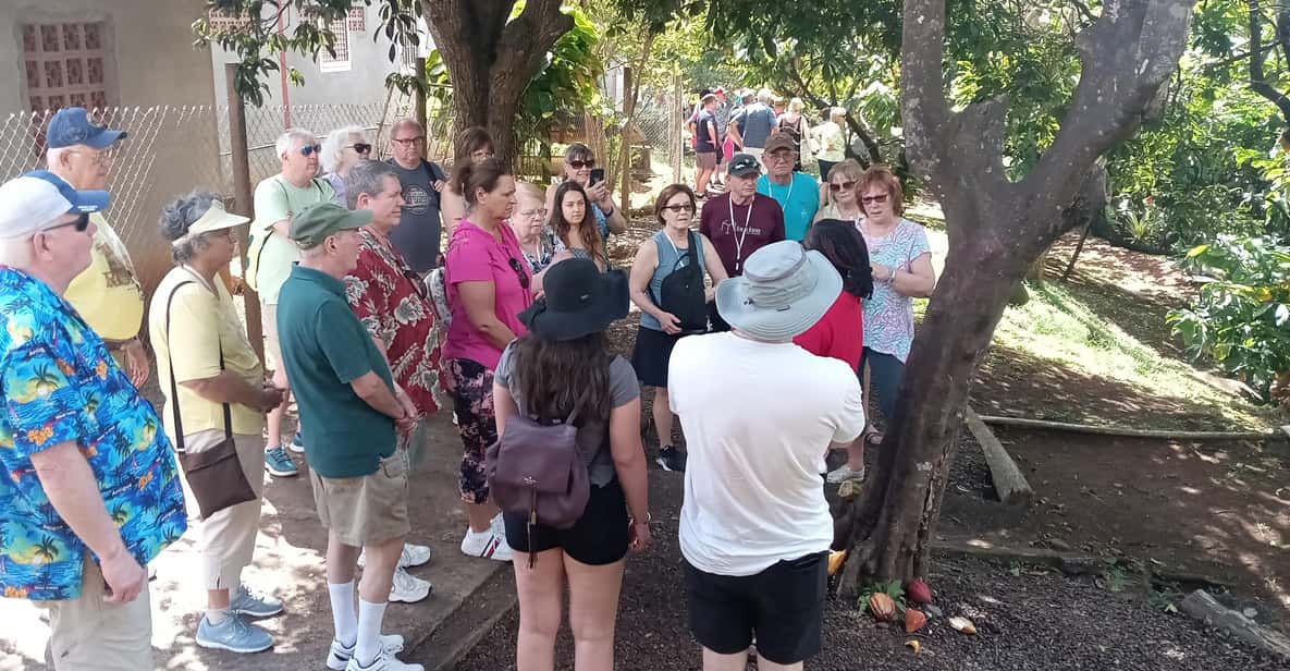 Explore Grenada's Magic: Private Spice Island Tour | GetYourGuide