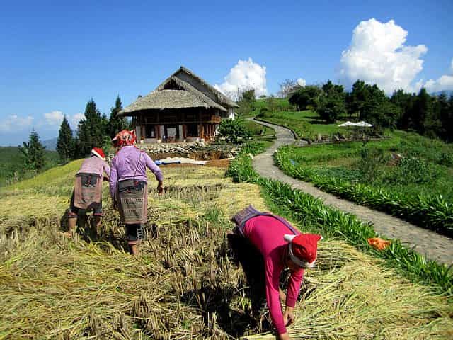 Z Hanoi: Sapa Hill Tribes 2-dniowa wycieczka nocnym pociągiem ...