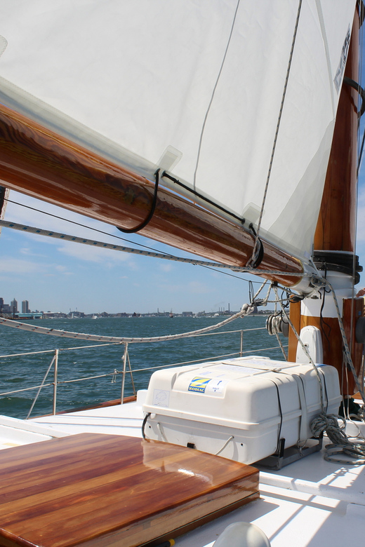 Boston: Downtown Harbor Sailing Cruise | GetYourGuide
