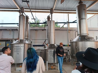 From Guadalajara: Tequila Tour with Tastings | GetYourGuide