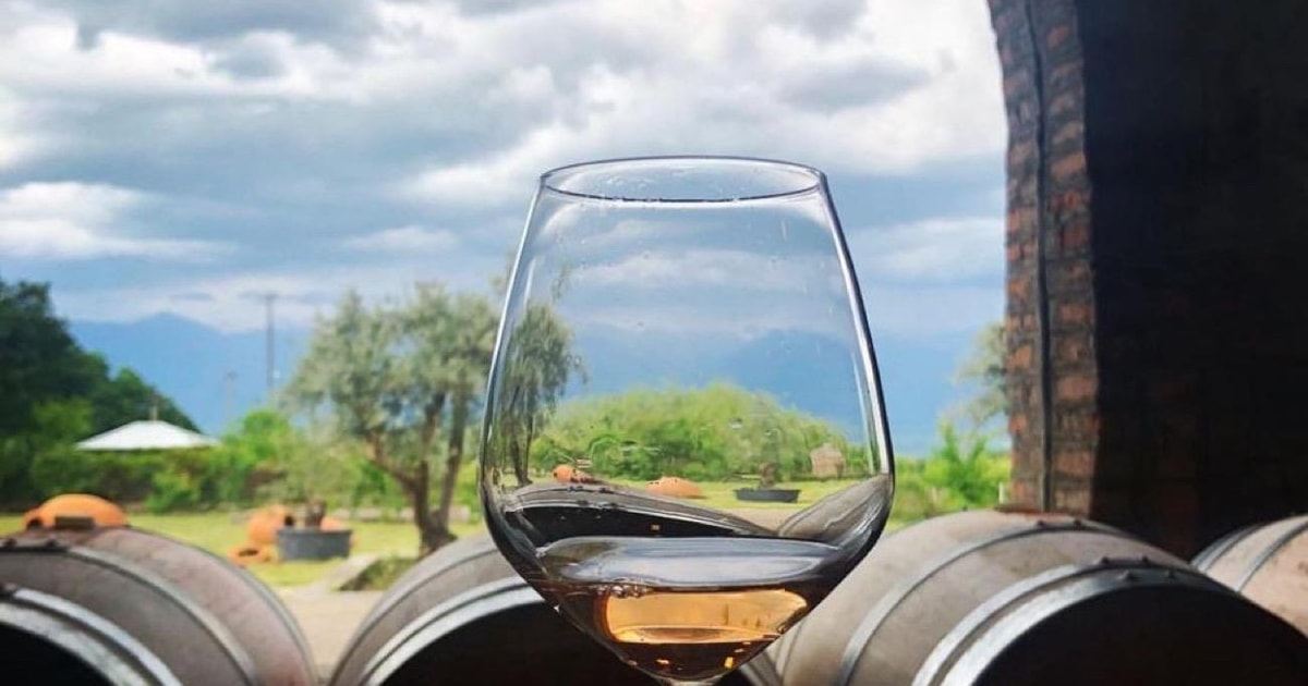 From Tbilisi: Sighnaghi, Telavi with wine and masterclasses | GetYourGuide