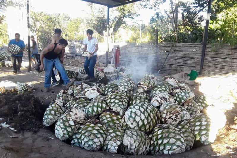 Oaxaca: Cata de Mezcal Ancestral en el Valle de Ocotlán | GetYourGuide