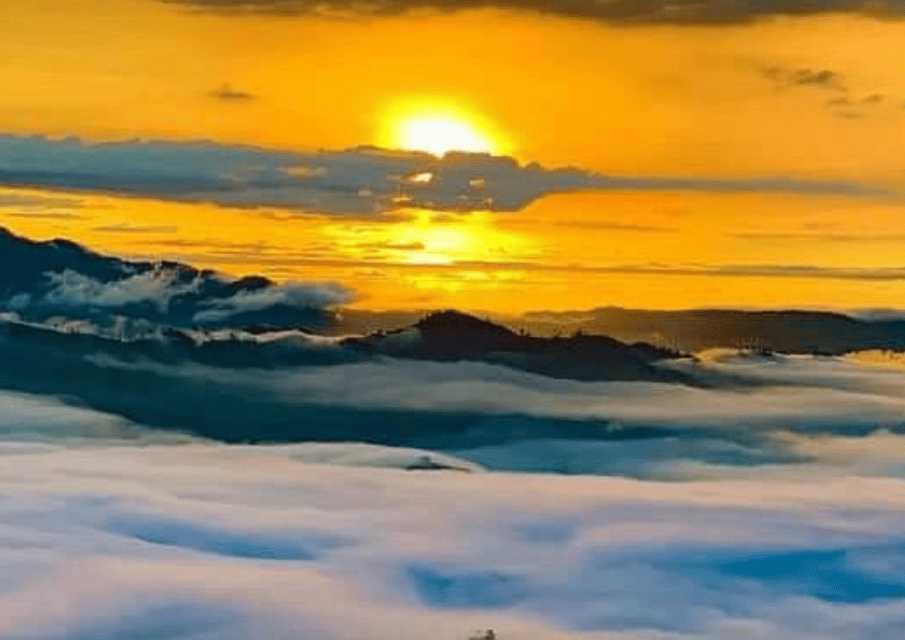 Davao Buda - Marilog | GetYourGuide