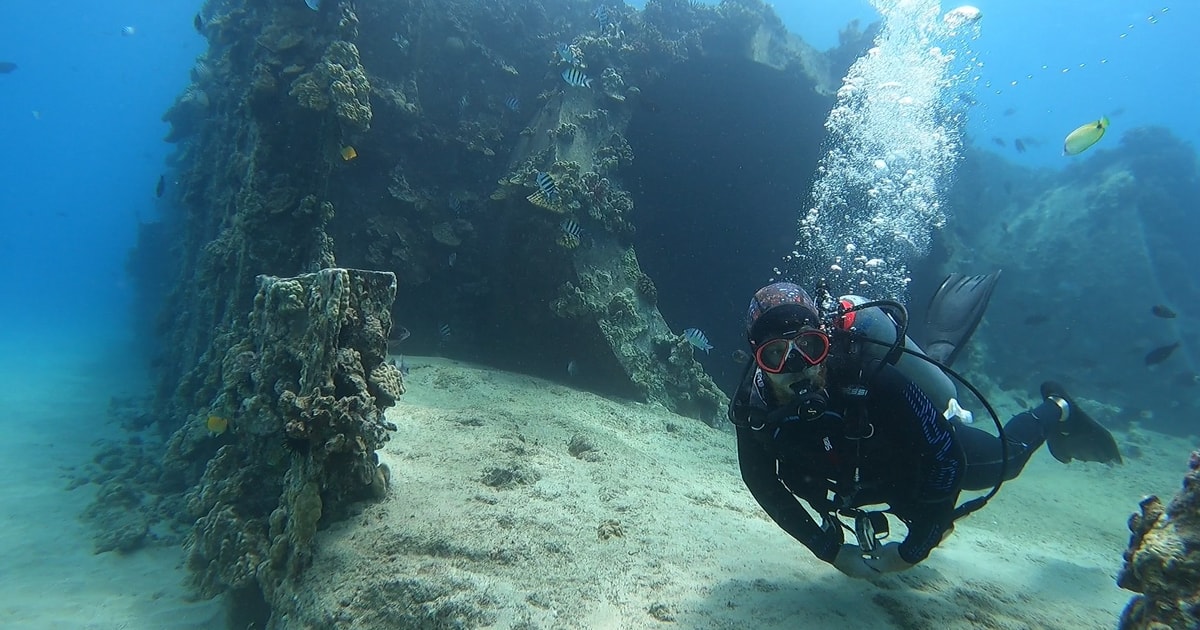 Oahu: Try Scuba Diving from Shore | GetYourGuide