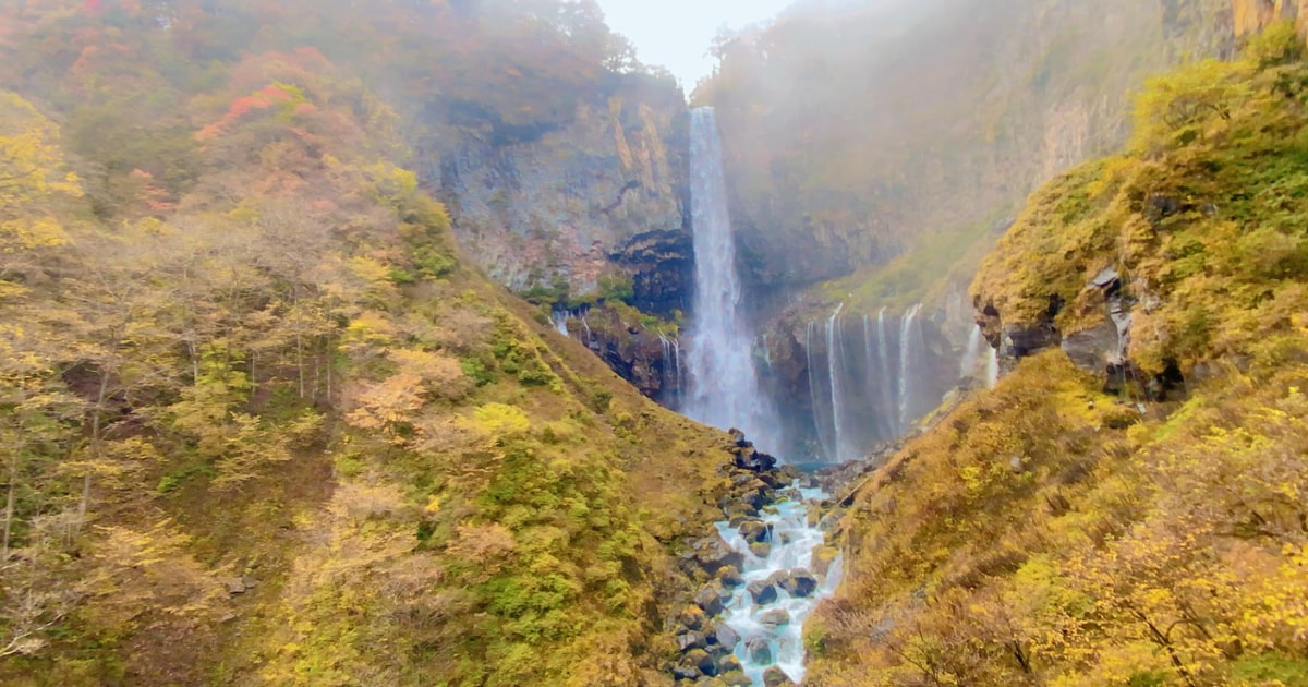 Tokio: Nikko Private Tagestour mit englischsprachigem Guide | GetYourGuide