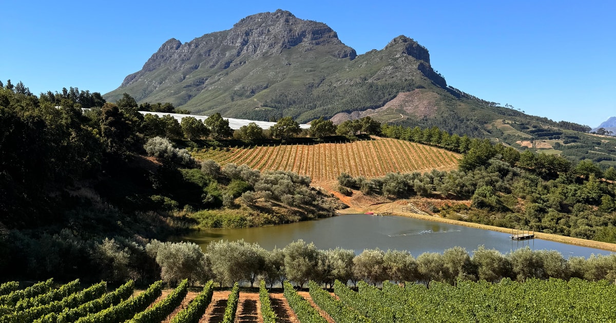 Tour Particular De Vinhos Visita A Stellenbosch Franschhoek E Paarl Tour Particular De Vinhos Visita A Stellenbosch Franschhoek E Paarl