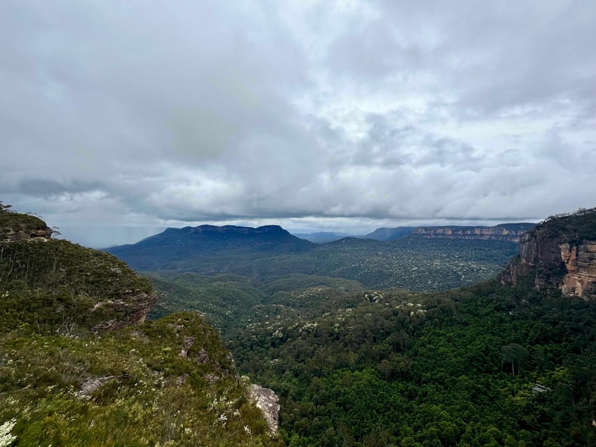 The Blue Mountains Small Group Insider Tour | GetYourGuide