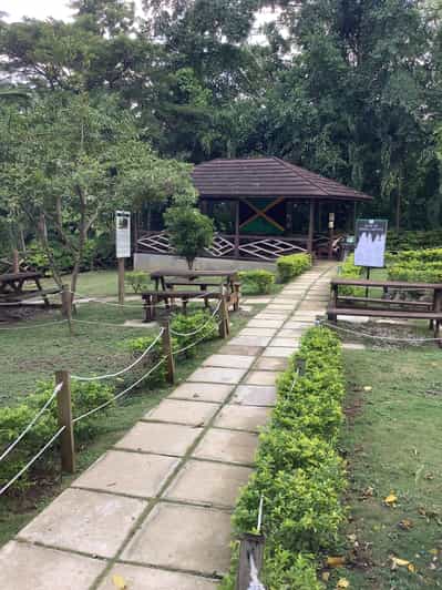 Ocho Rios: Green Grotto Caves Guided Tour with Transfers | GetYourGuide