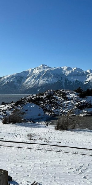 From Anchorage: Alaska Wildlife Center & Turnagain Arm Tour | GetYourGuide