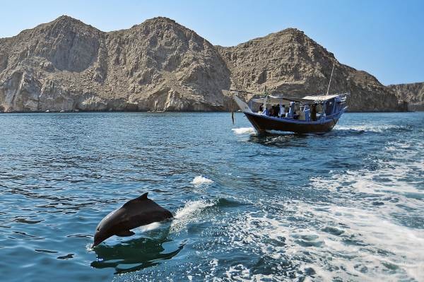 Musandam Khasab Full-Day Cruise with Transfers & Lunch | GetYourGuide