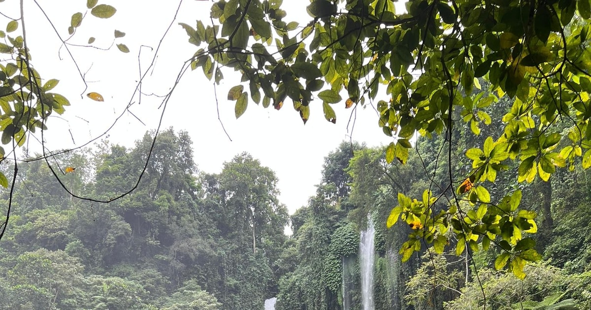 Sekumpul waterfall Tour | GetYourGuide