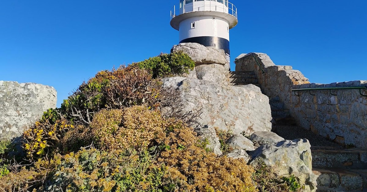 Cape Town: Sunset Penguins, Chapman's Peak & cape point | GetYourGuide