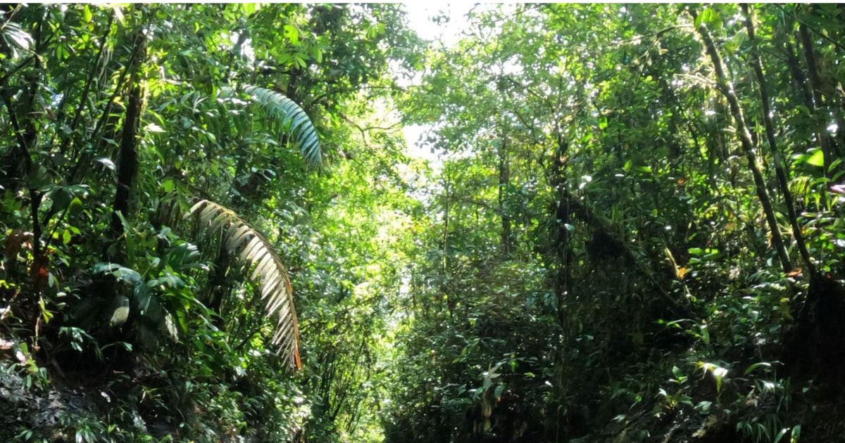 XCARET COLOMBIANO- Cañón de la Angostura | GetYourGuide