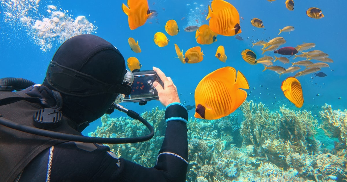 Hurghada: Excursión de Introducción al Buceo y el Snorkel con Comida y ...