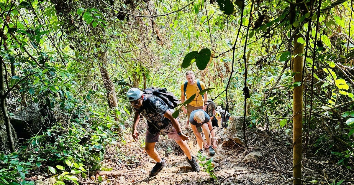 Cat Ba National Park Trekking & Ancient Village Biking | GetYourGuide