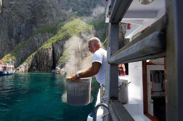 Ponza Island Day Trip from Rome with Boat Excursion | GetYourGuide