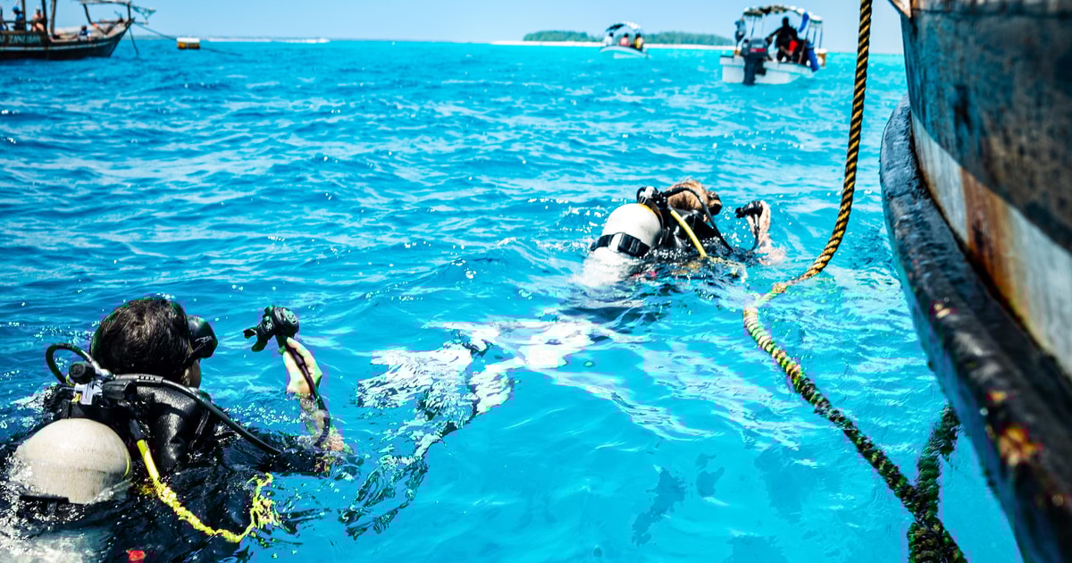Zanzibar blue trip experience:1 Day Scuba Diving double dive | GetYourGuide