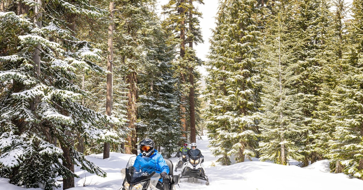 Lake Tahoe: Summit Snowmobile Tour with Scenic Views | GetYourGuide