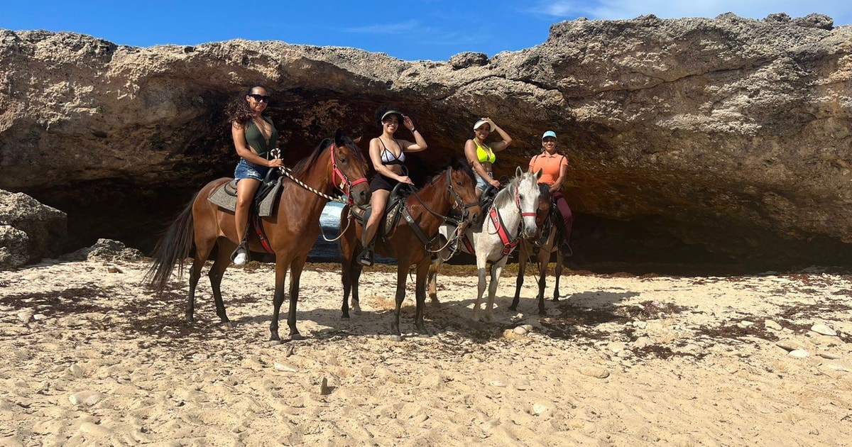 Aruba: Horseback Ride Tour to Wariruri Beach | GetYourGuide