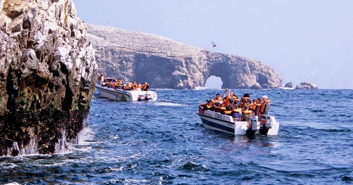 Tour delle Isole Ballestas | GetYourGuide