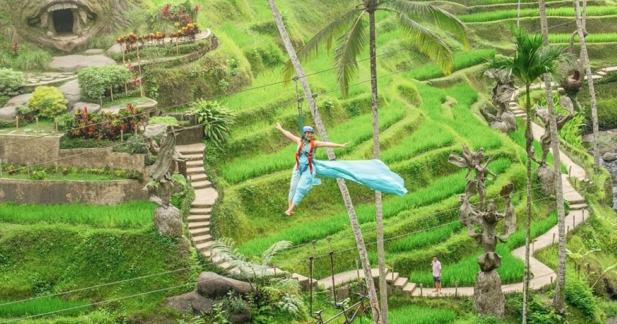 Ubud Jungle Swing and Mason Elephant Park Tour | GetYourGuide