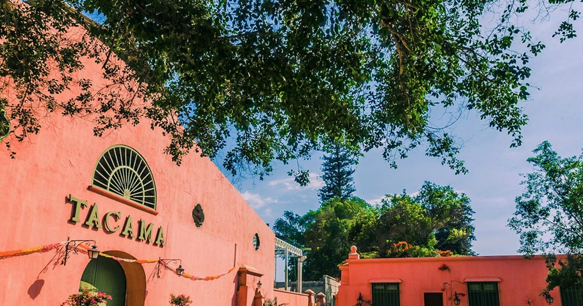 Ica : Route through the most important wineries | GetYourGuide