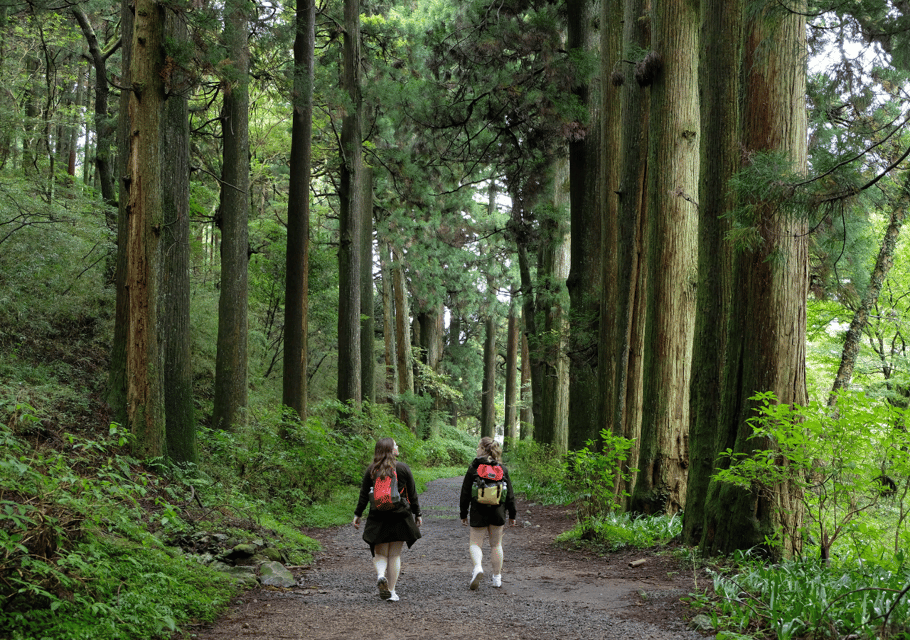 Hakone Hachiri: Excursión por la antigua carretera de Tokaido ...