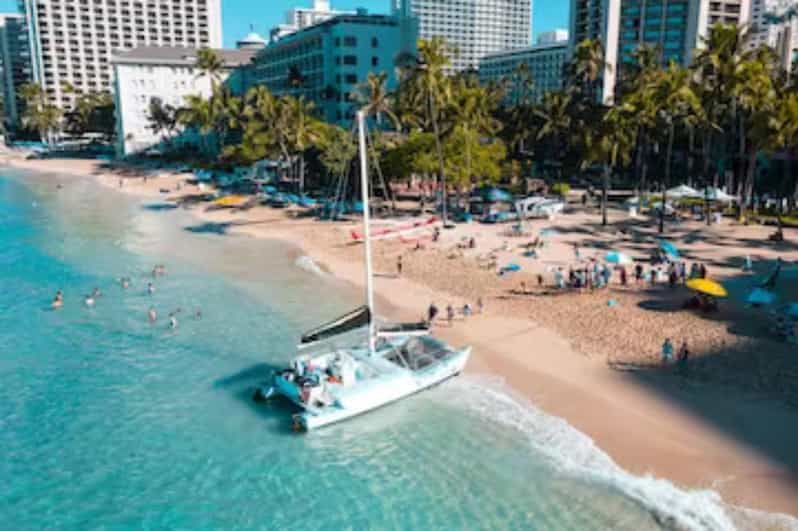 Honolulu: Marine Life Boat Tour on Waikiki Catamaran Charter | GetYourGuide
