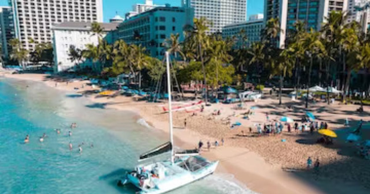 Honolulu: Marine Life Boat Tour on Waikiki Catamaran Charter | GetYourGuide